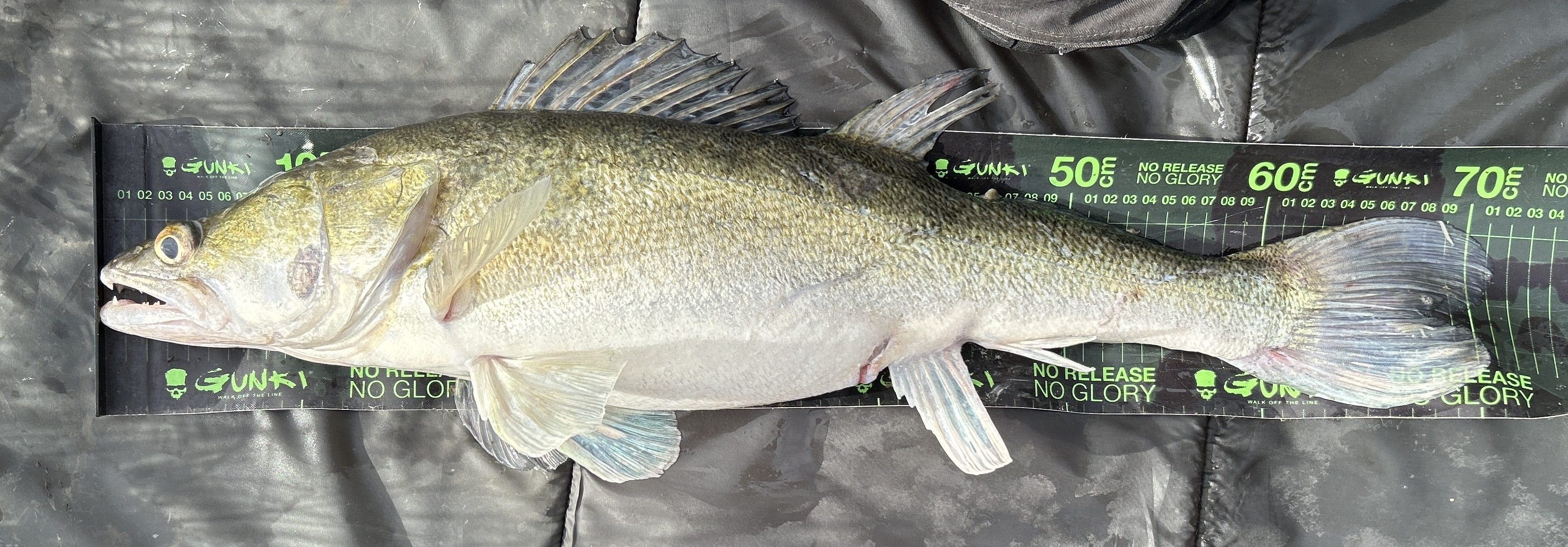 Catch your best four zander and best four perch in round 2 of the pairs ...